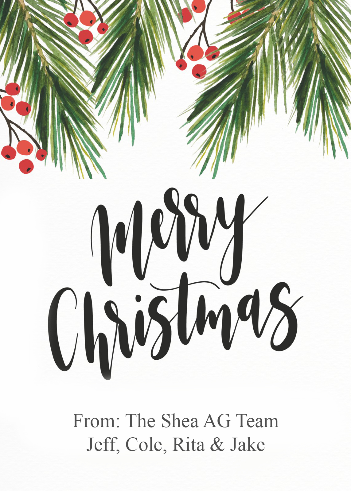 Merry Christmas : From The Shea AG Team! - Shea AG
